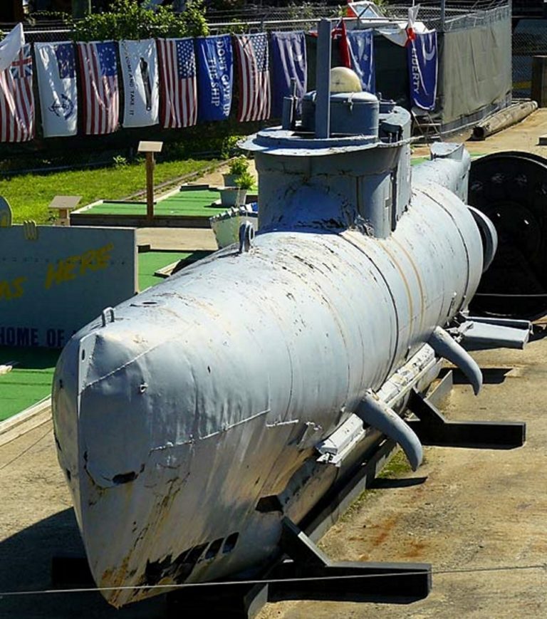 Seehund - Photos & Videos - NET-MAQUETTES